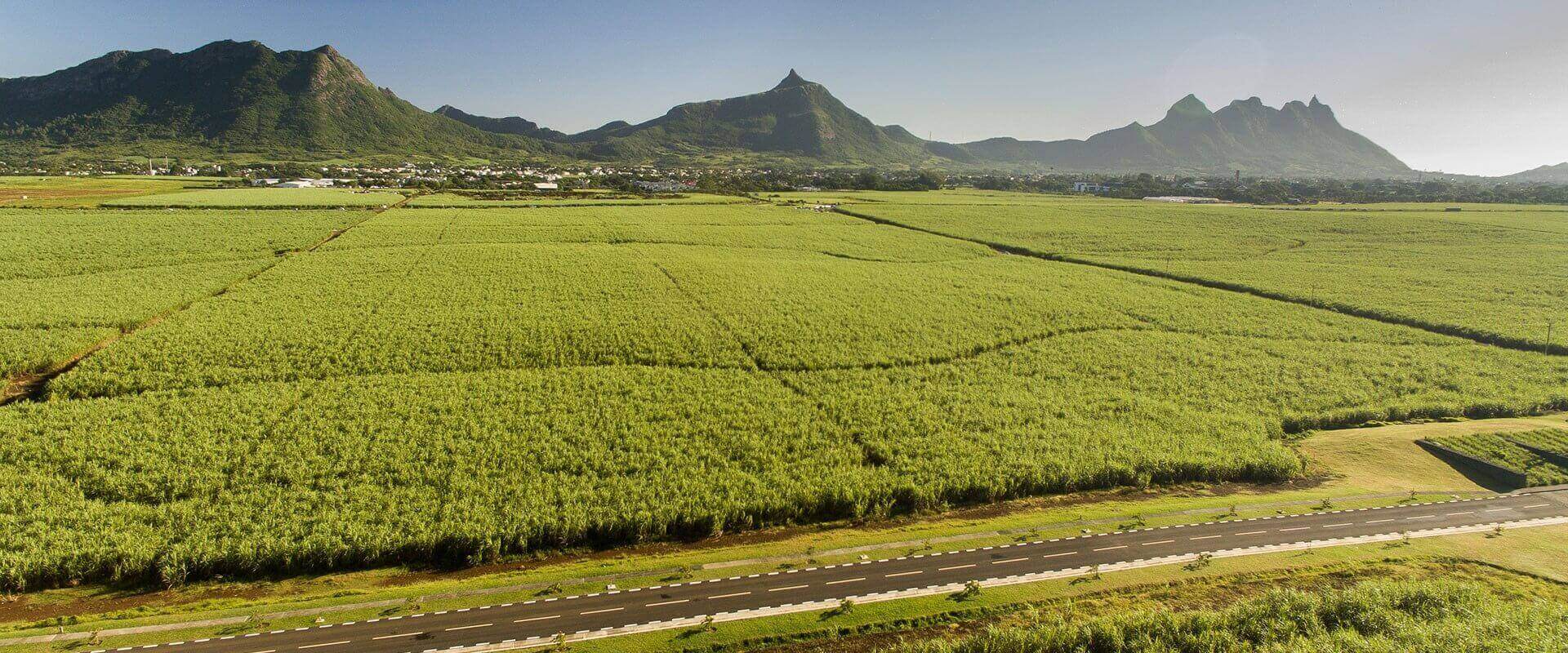 Leadership Team - ENL Group - Mauritius